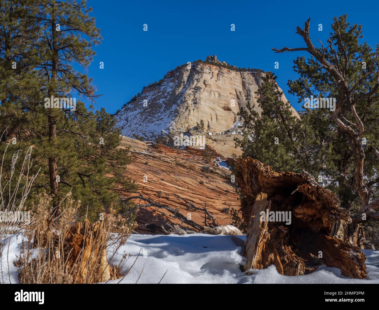 Zion mount carmel highway hi-res stock photography and images - Alamy