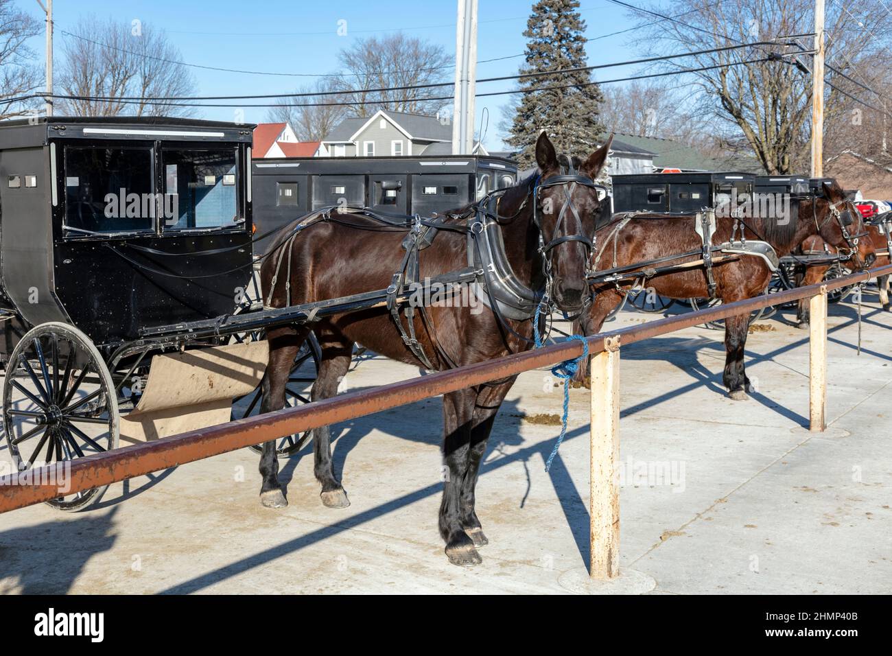 Amish, amish buggys, parked, downtown, Topeka, Indiana, USA, by James D ...