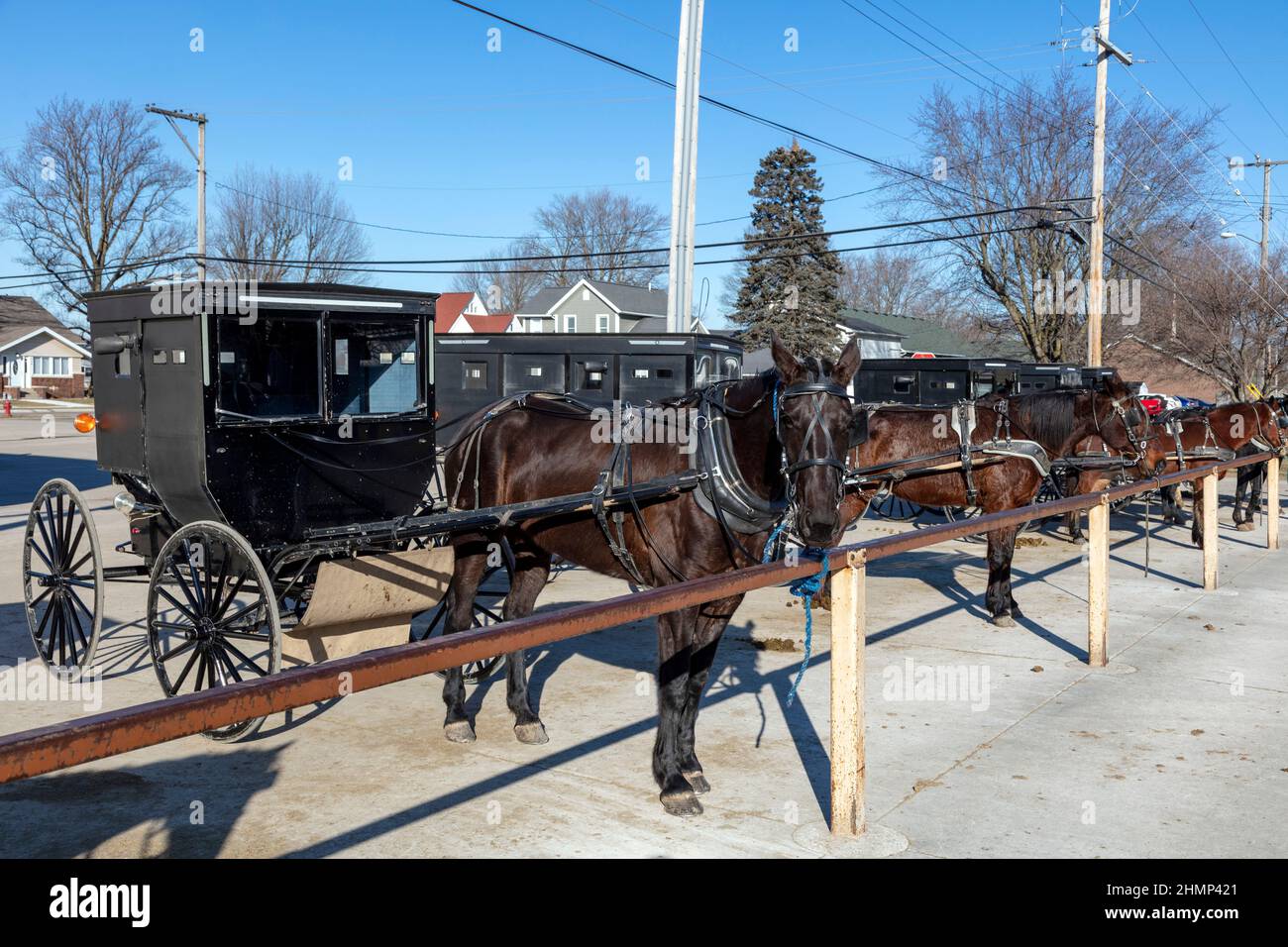 Amish, amish buggys, parked, downtown, Topeka, Indiana, USA, by James D ...