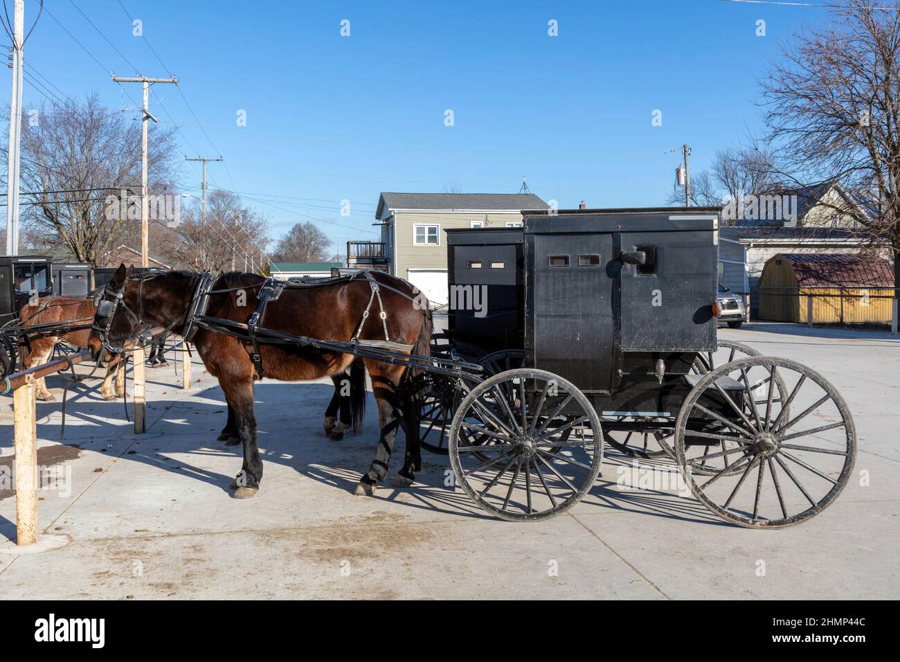 Amish, amish buggys, parked, downtown, Topeka, Indiana, USA, by James D ...