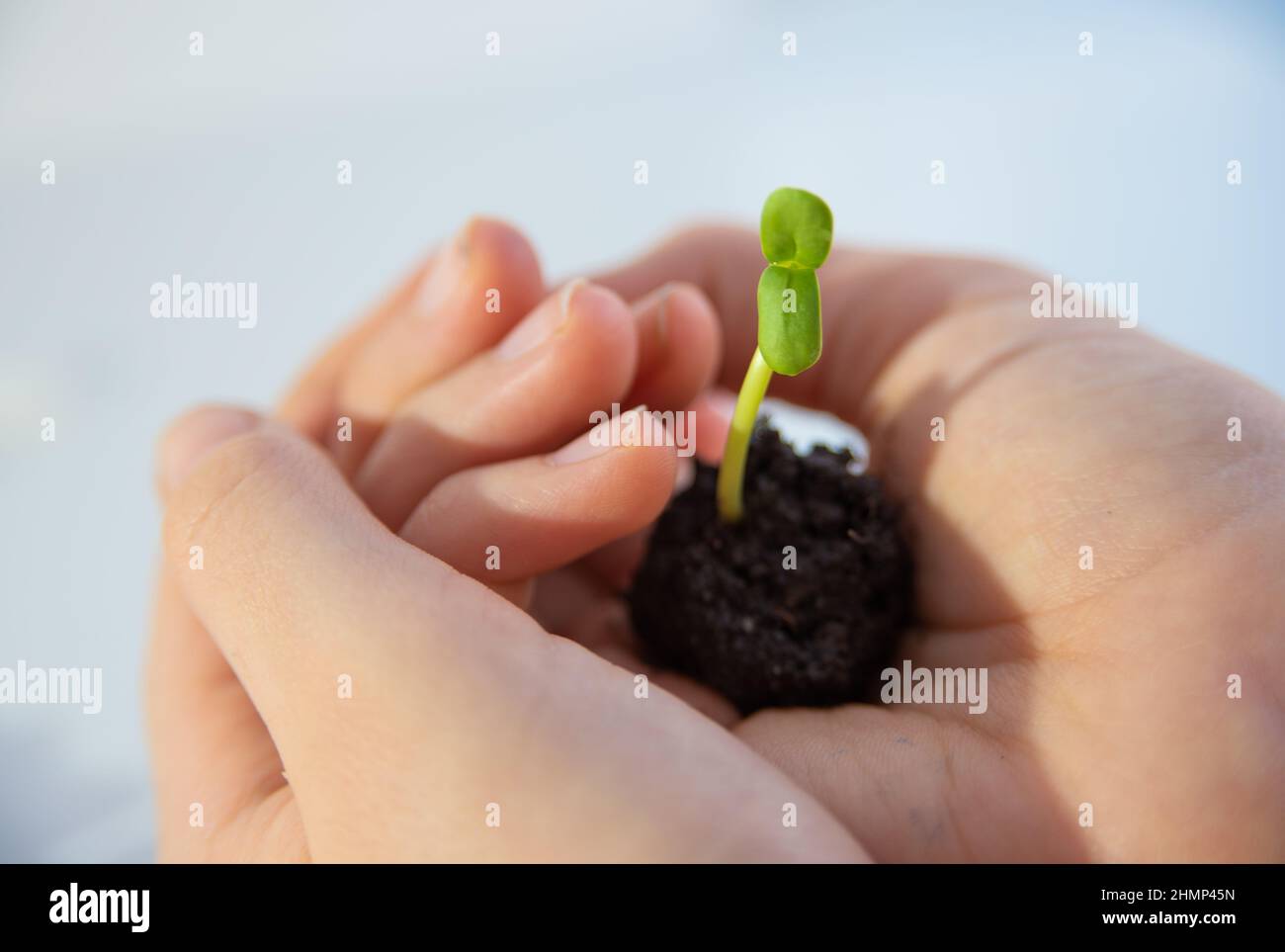 Gardening small growing hi-res stock photography and images - Alamy