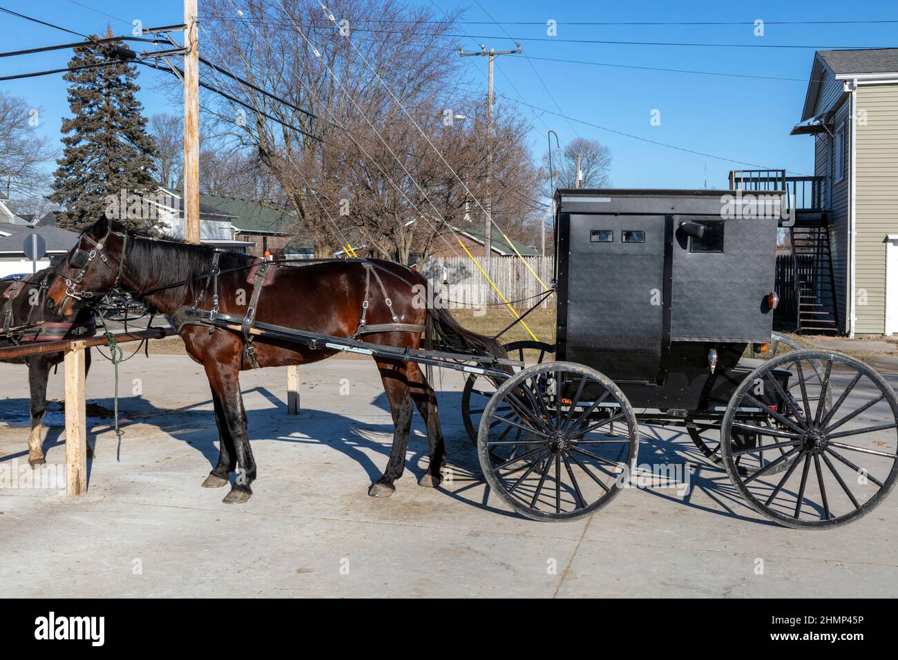 Amish, amish buggys, parked, downtown, Topeka, Indiana, USA, by James D ...