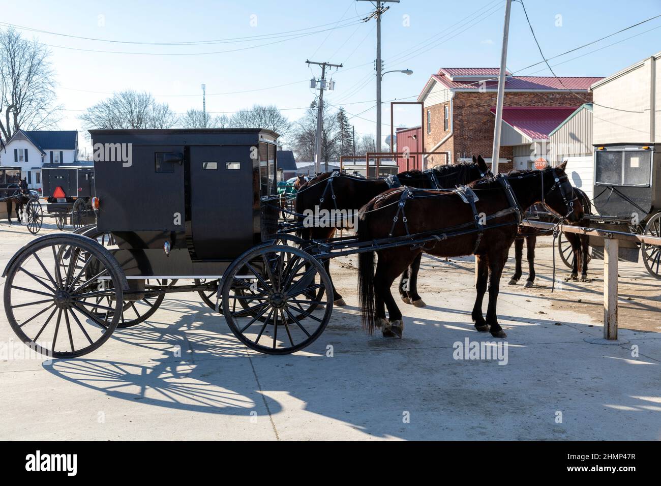 Amish, amish buggys, parked, downtown, Topeka, Indiana, USA, by James D ...
