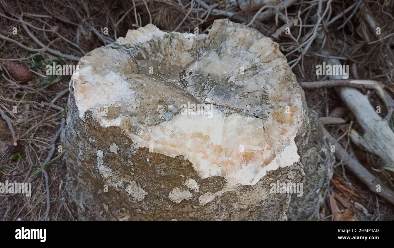 Sanctuary of god Pan at Penteli mountain Athens Greece Stock Photo - Alamy