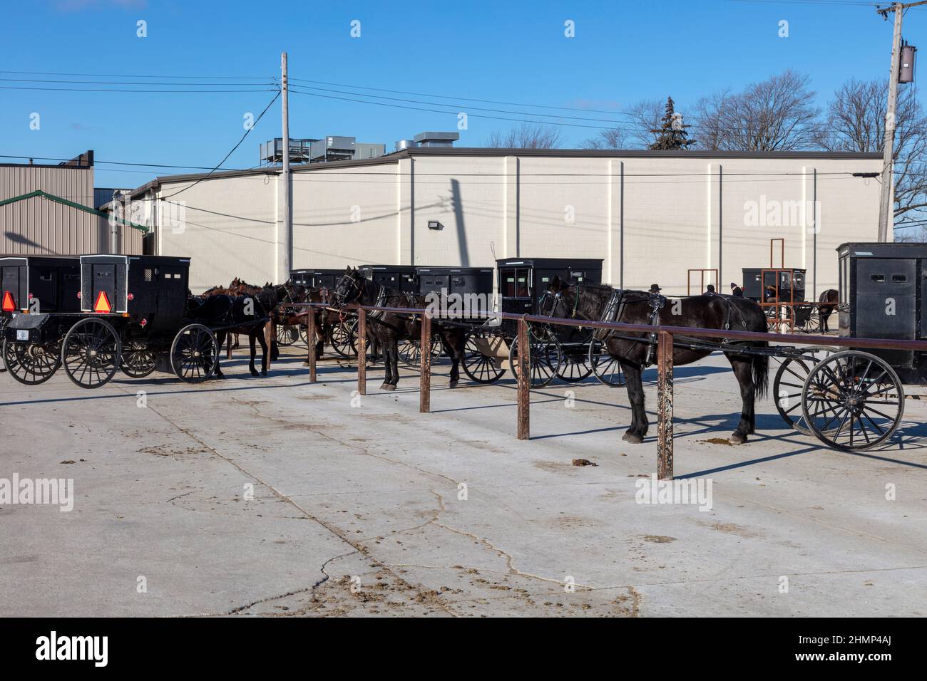 Amish, amish buggys, parked, downtown, Topeka, Indiana, USA, by James D ...