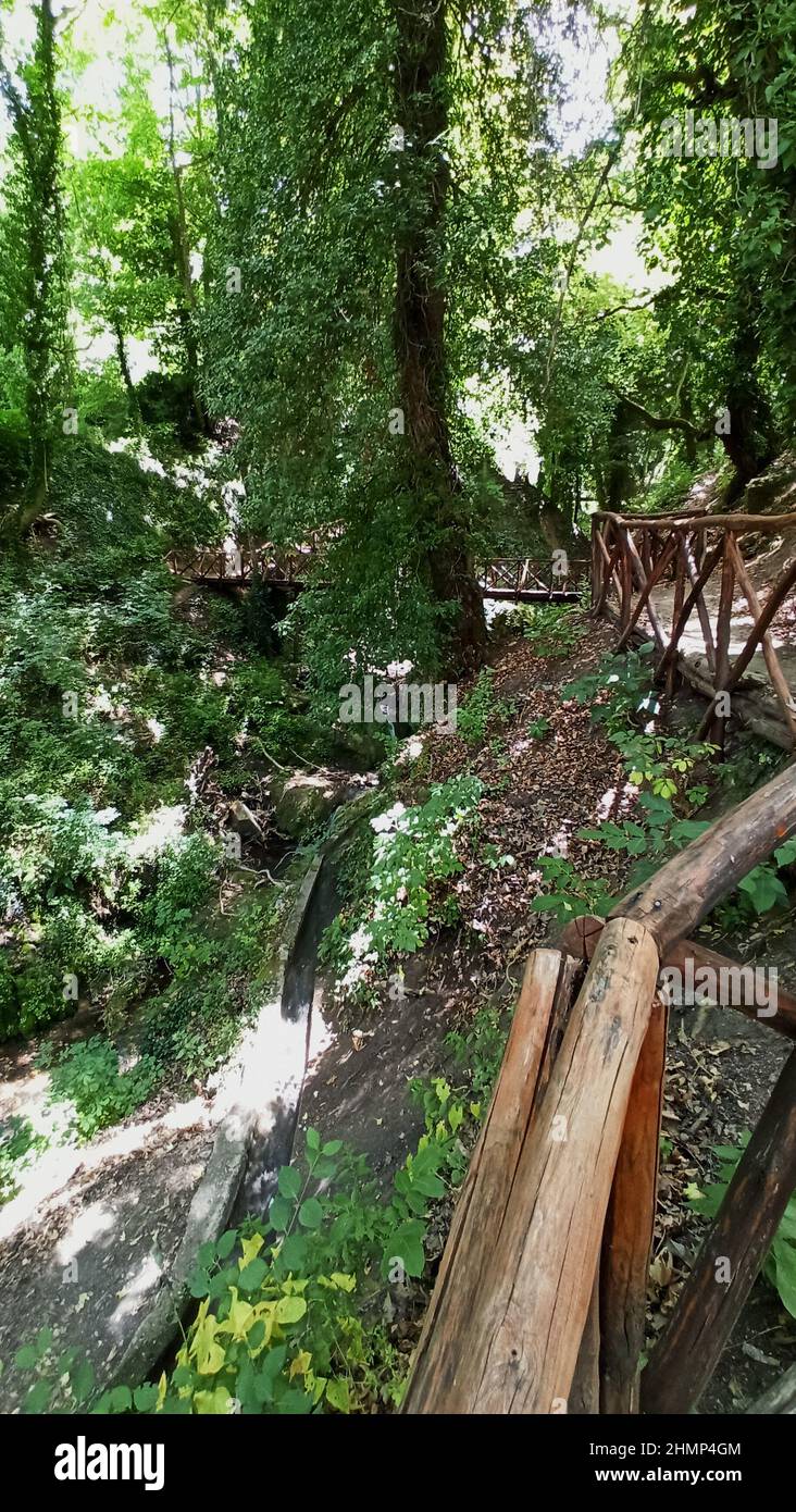 Wooden path in the forest in Megalo Chorio village Karpenisi Greece ...