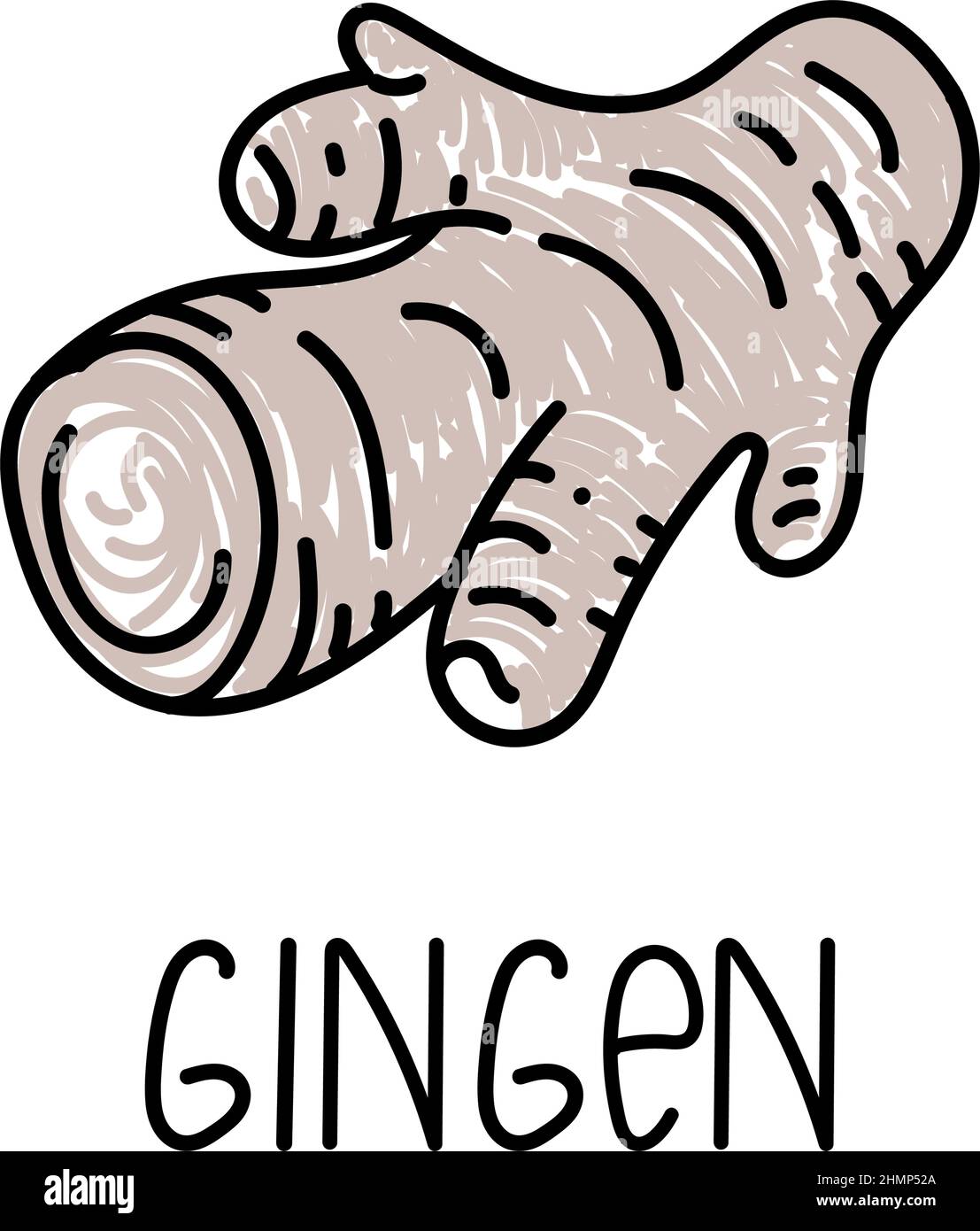 Ginger, hand-drawn doodle style element. Logo and emblem packaging ...