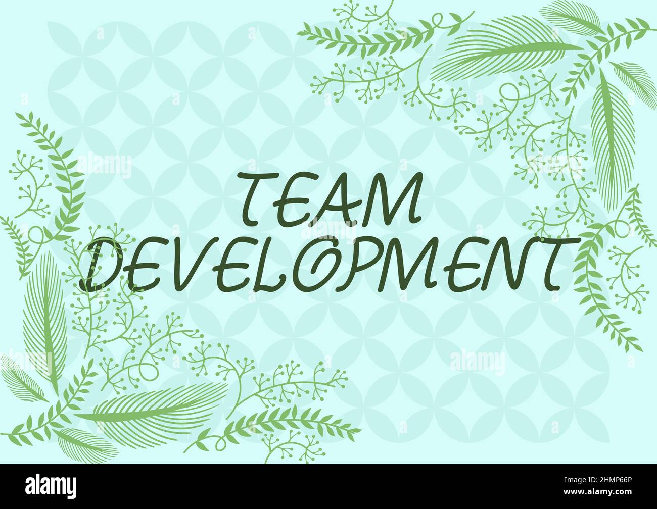 Text sign showing Team Development. Internet Concept learn why and how ...