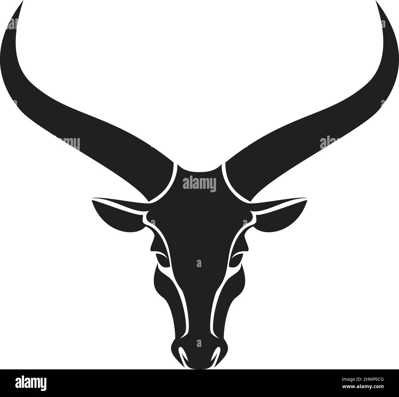 Longhorn Ankole Watusi Cattle Vector Stock Vector Image & Art - Alamy