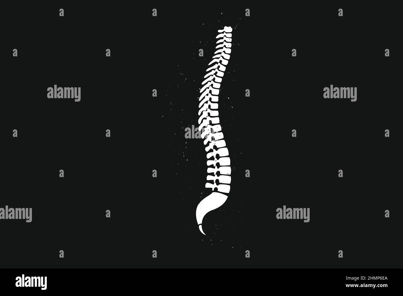 Simple Design of Reality Spine Bone Vector Stock Vector Image & Art - Alamy