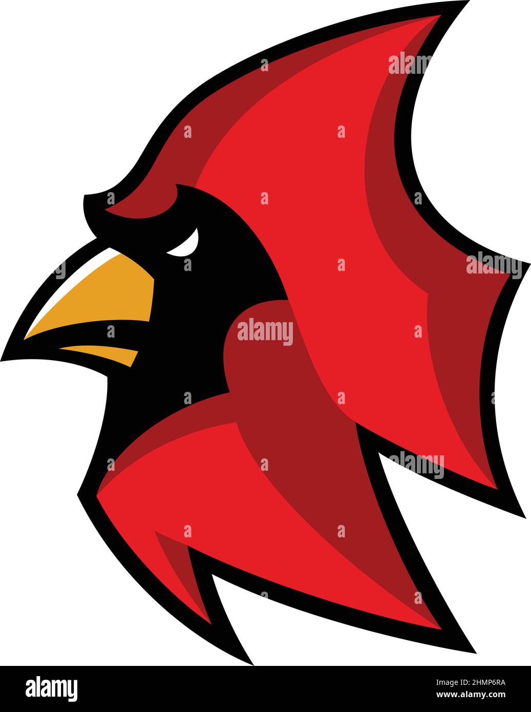 Cardinal bird logo vector vectors hi-res stock photography and images ...