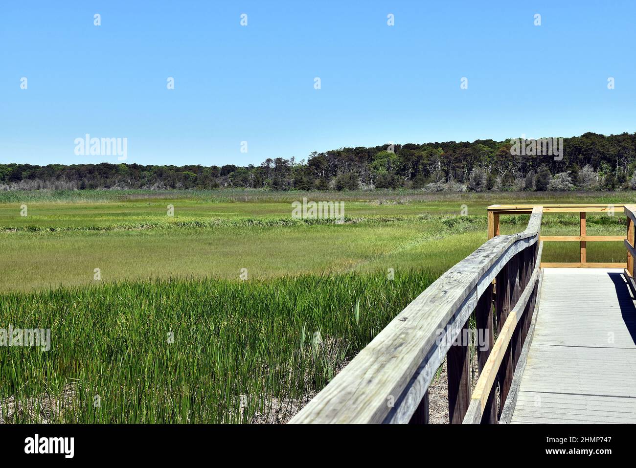 Marsh grass cape cod hi-res stock photography and images - Alamy