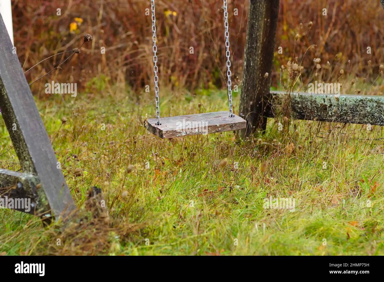 lone wooden swing with tall grass Stock Photo - Alamy