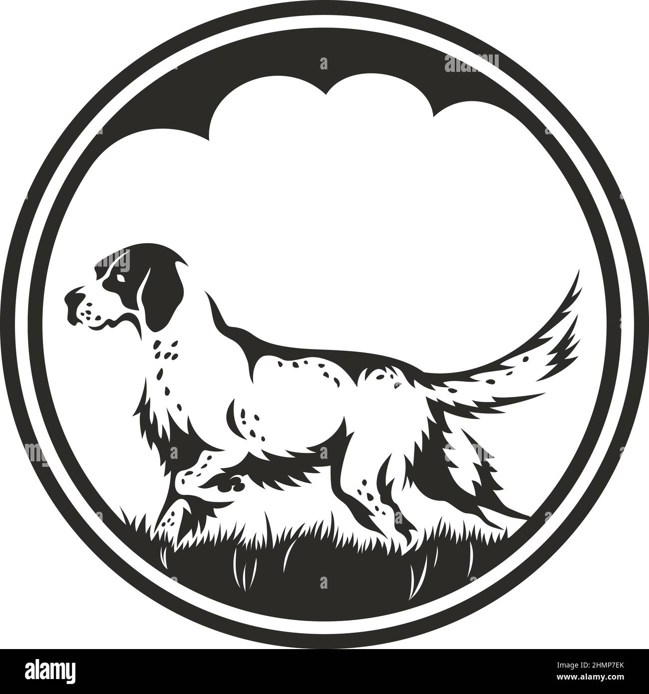 English setter vector vectors hi-res stock photography and images - Alamy