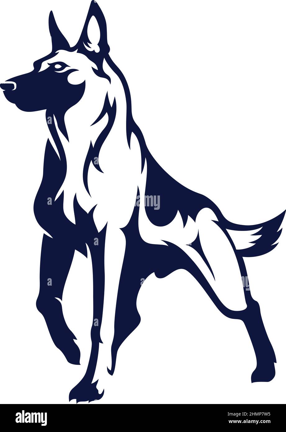 Confident Belgian Malinois (Shepherd) Dog Stock Vector Image & Art - Alamy