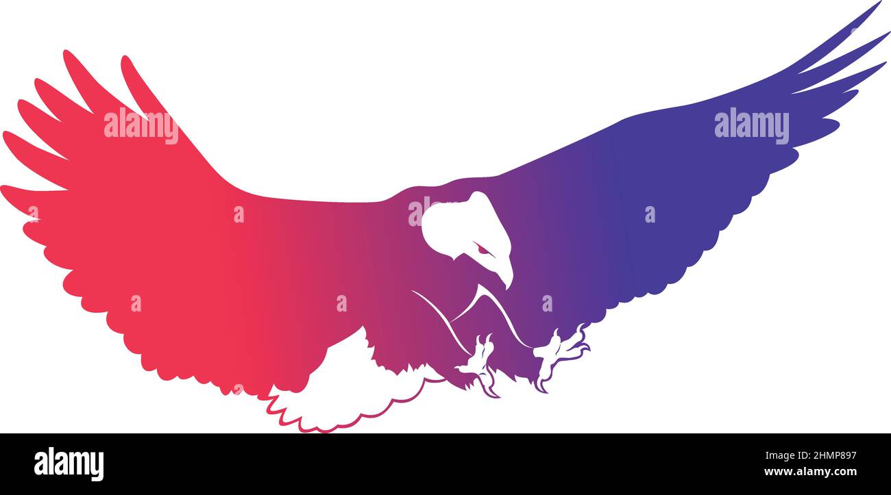 Silhouette of White Bald Eagle Attacking the Prey Stock Vector Image ...