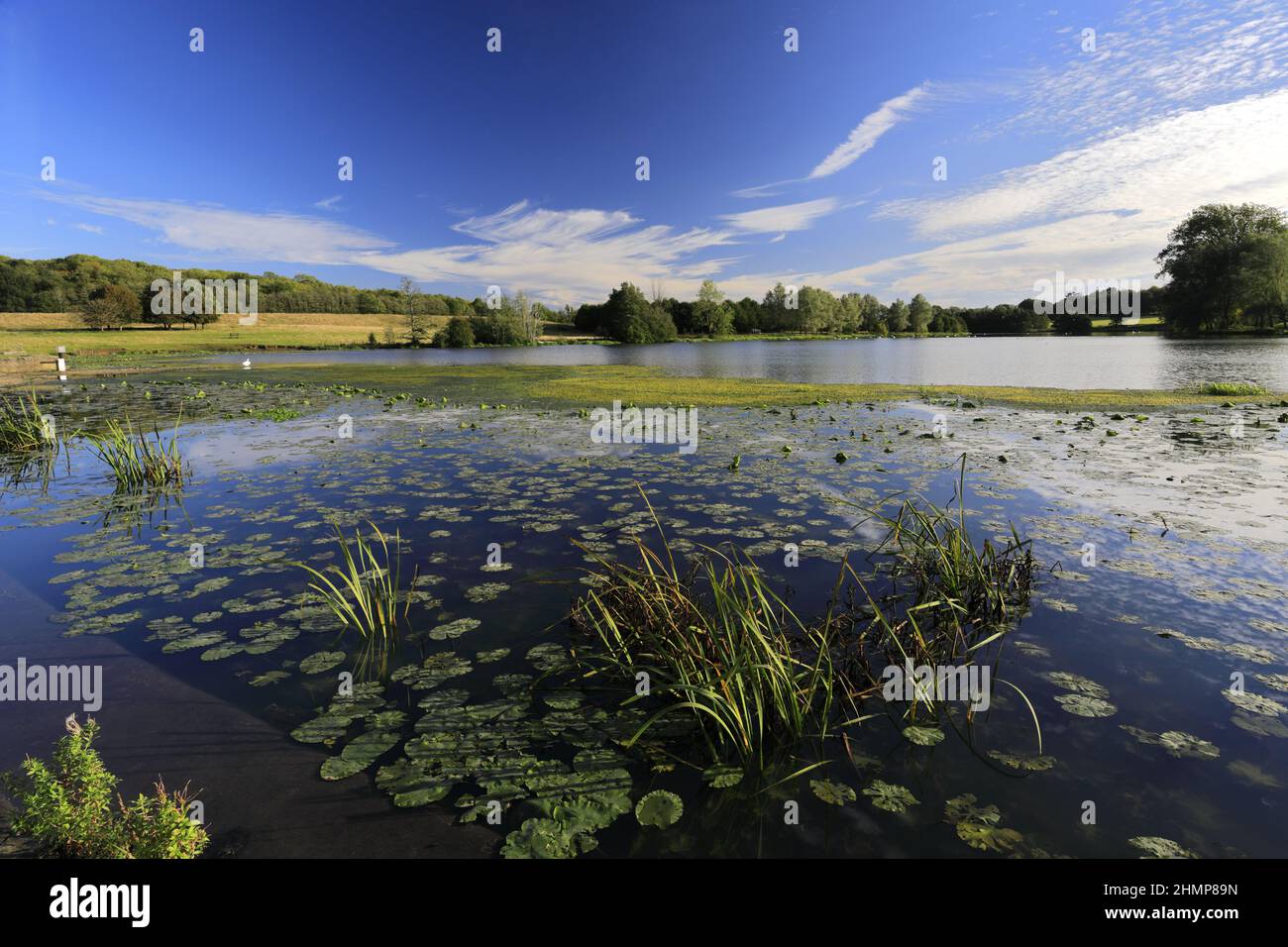 Church at deene park hi-res stock photography and images - Alamy