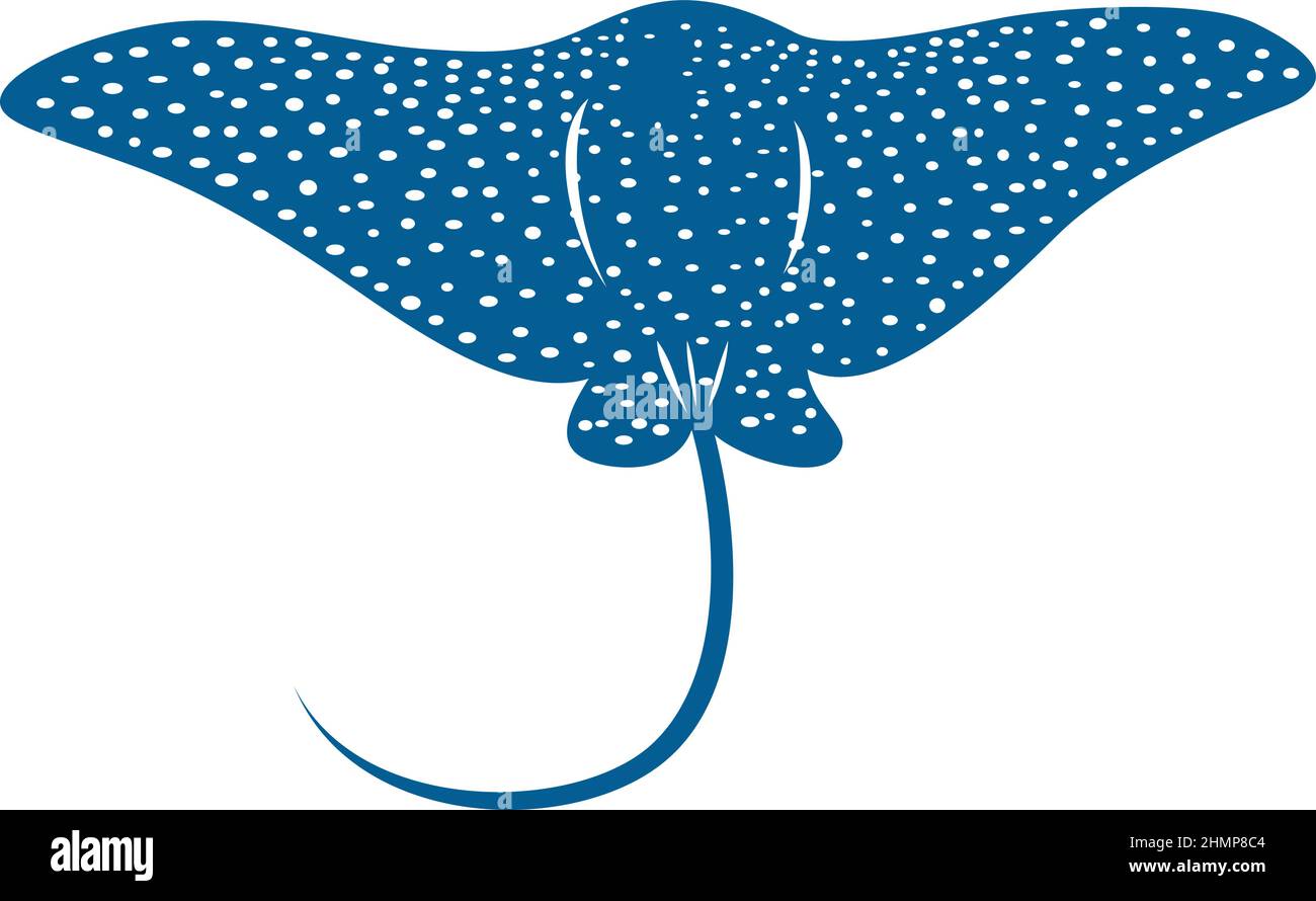 Eagle Ray fish Back View Stock Vector Image & Art - Alamy