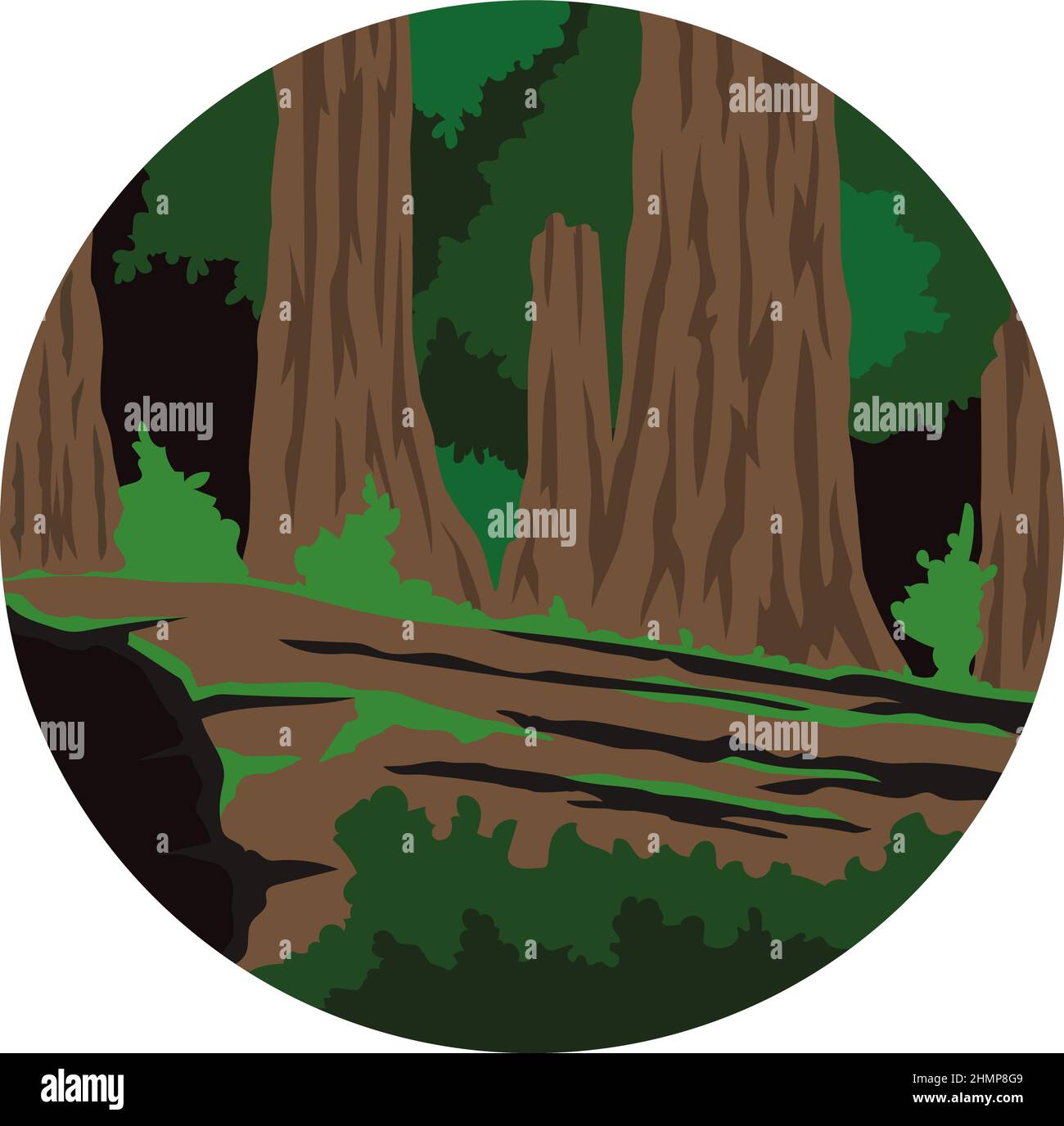 Decaying old growth forest Scene background in Circle Stock Vector ...