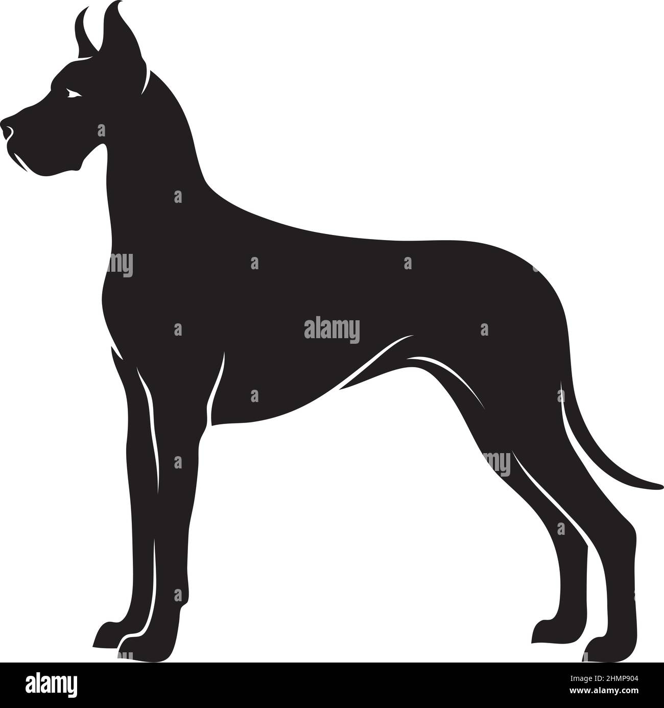 Simple Vector Silhouette of Great Dane Dog Stock Vector Image & Art - Alamy