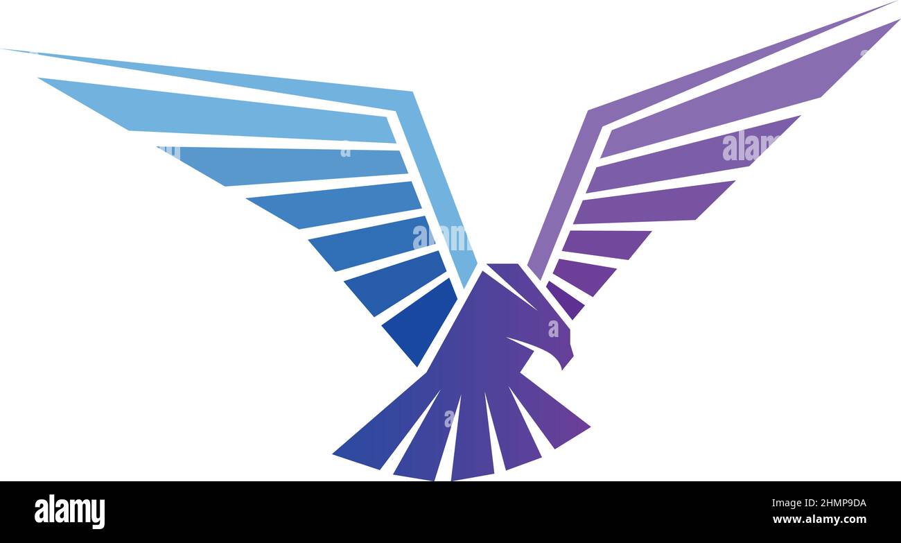 Flying Hawk Simple Sharp Design Stock Vector Image & Art - Alamy