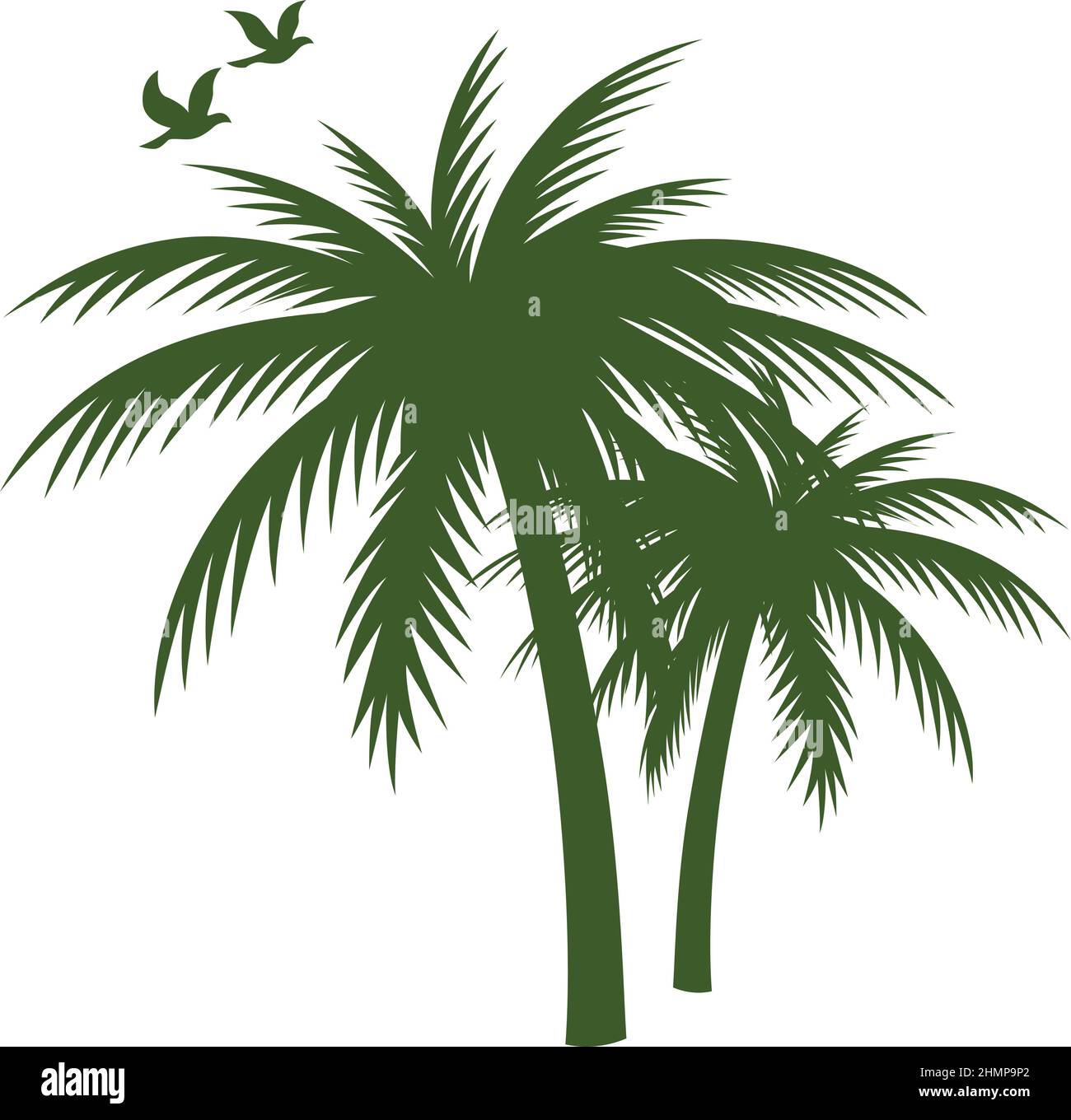 Two palm trees vector vectors hi-res stock photography and images - Alamy