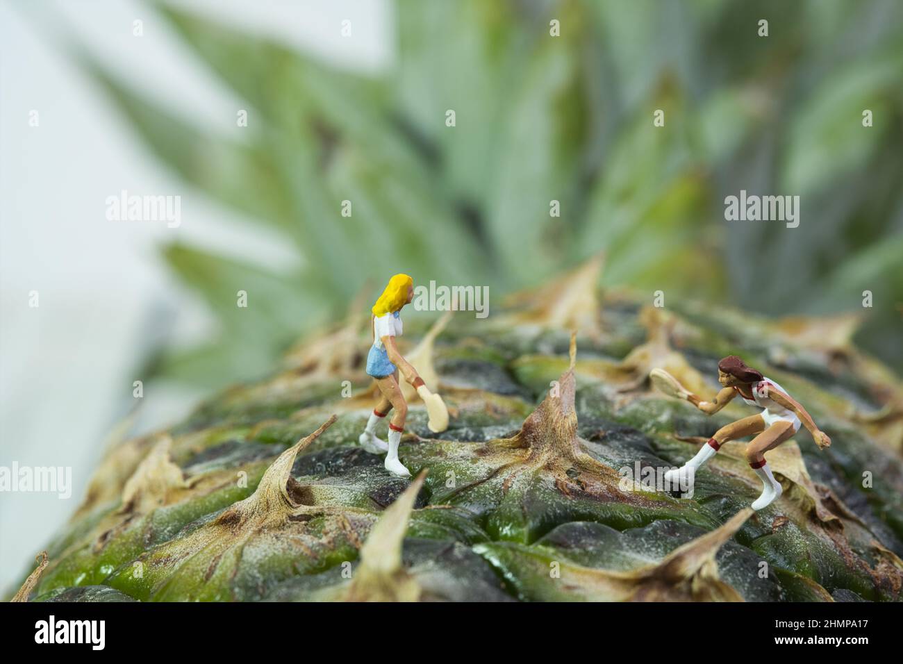 women tennis players on a ripe pineapple Stock Photo - Alamy