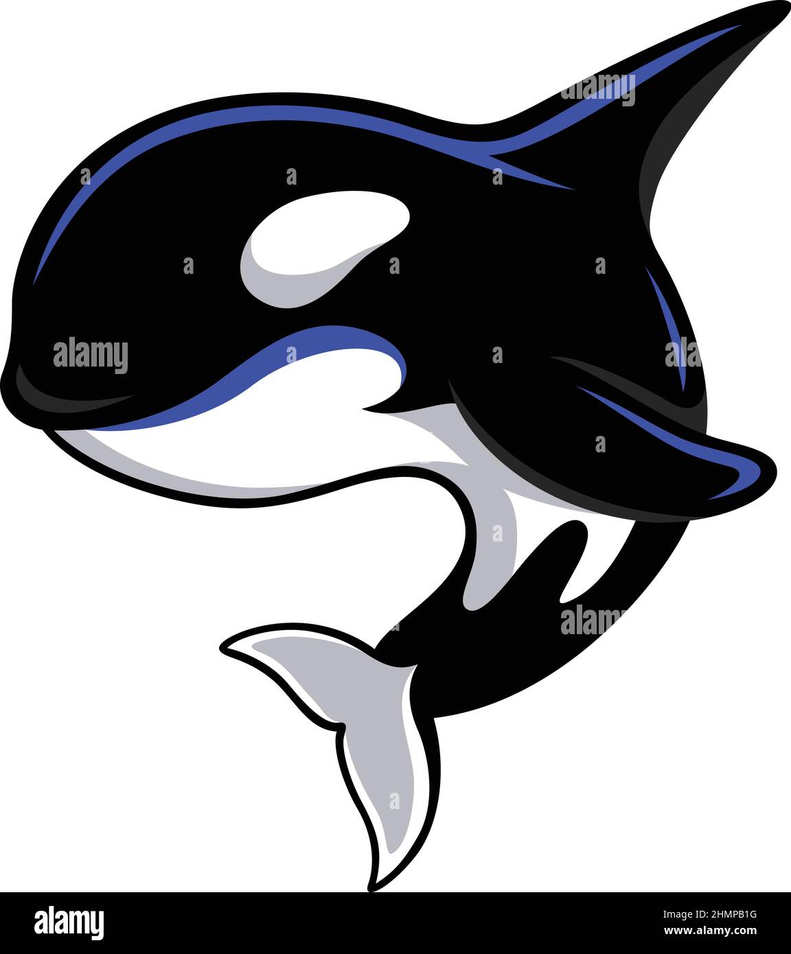 Vector Design of Killer Whale Stock Vector Image & Art - Alamy