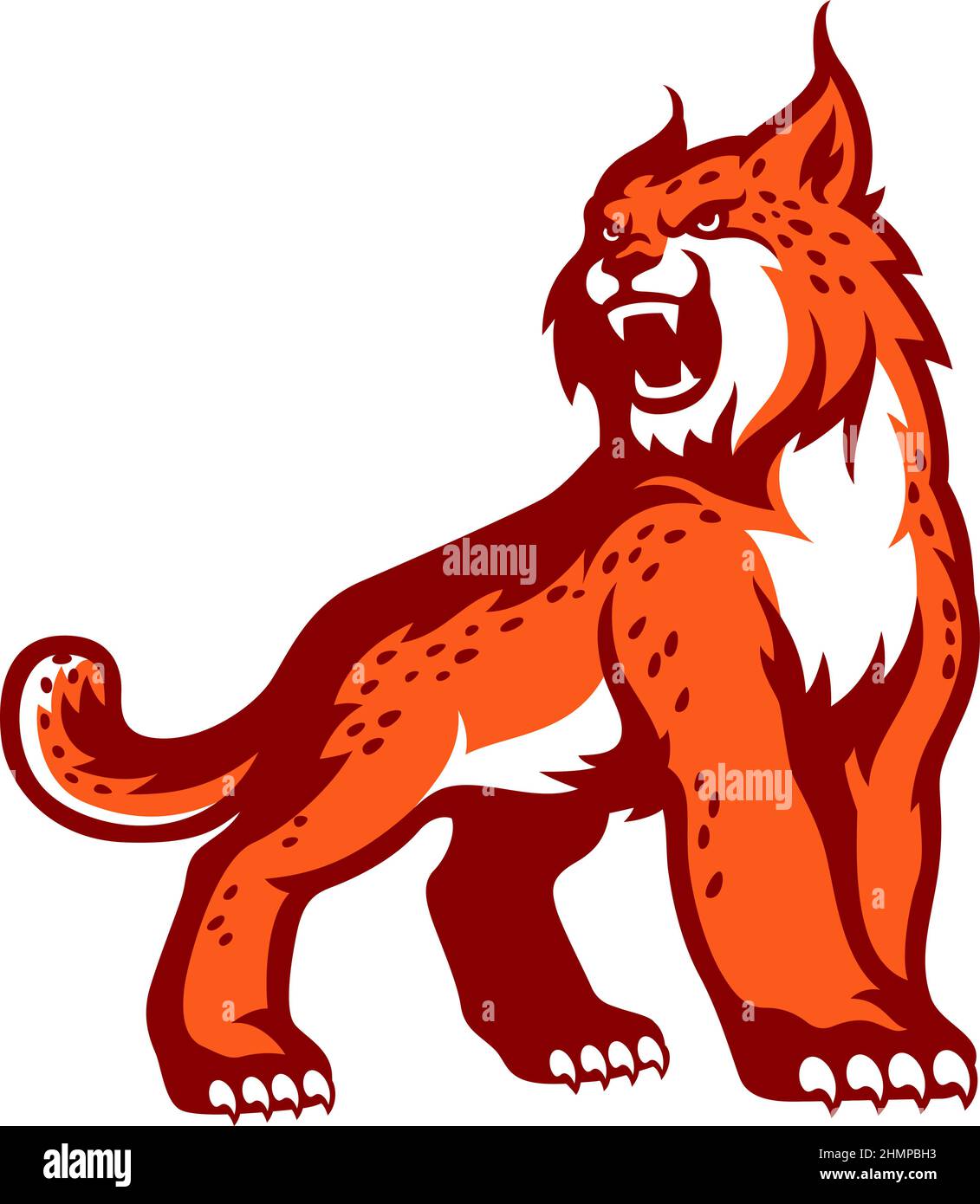 A Lynx Standing Looking Back Roaring Stock Vector Image & Art - Alamy
