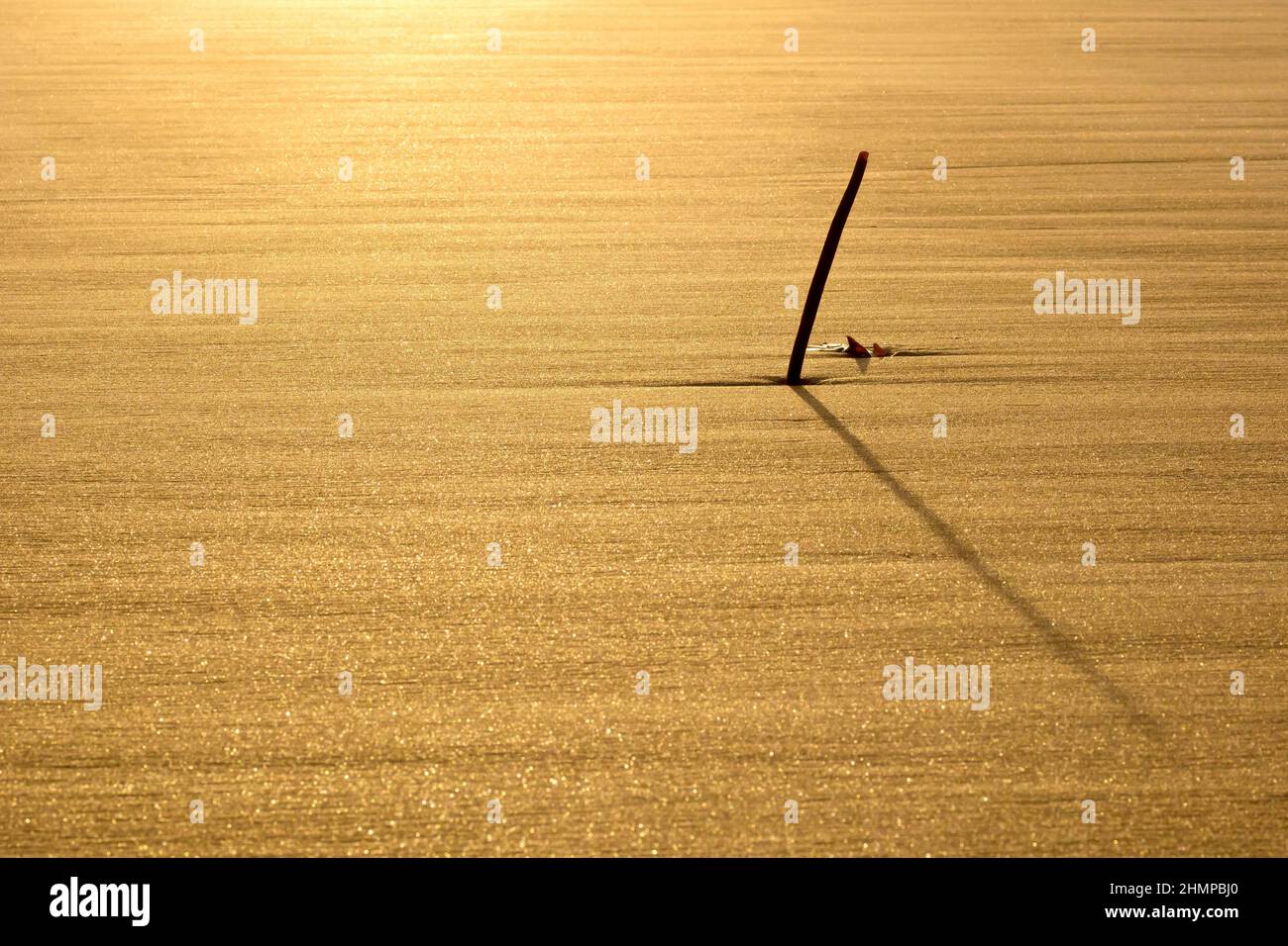 Golden backlit hi-res stock photography and images - Alamy