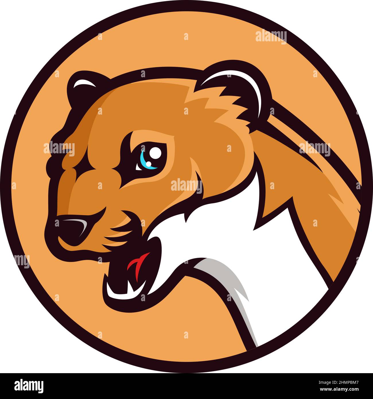 Head of Weasel Cartoon Character Design Stock Vector Image & Art - Alamy