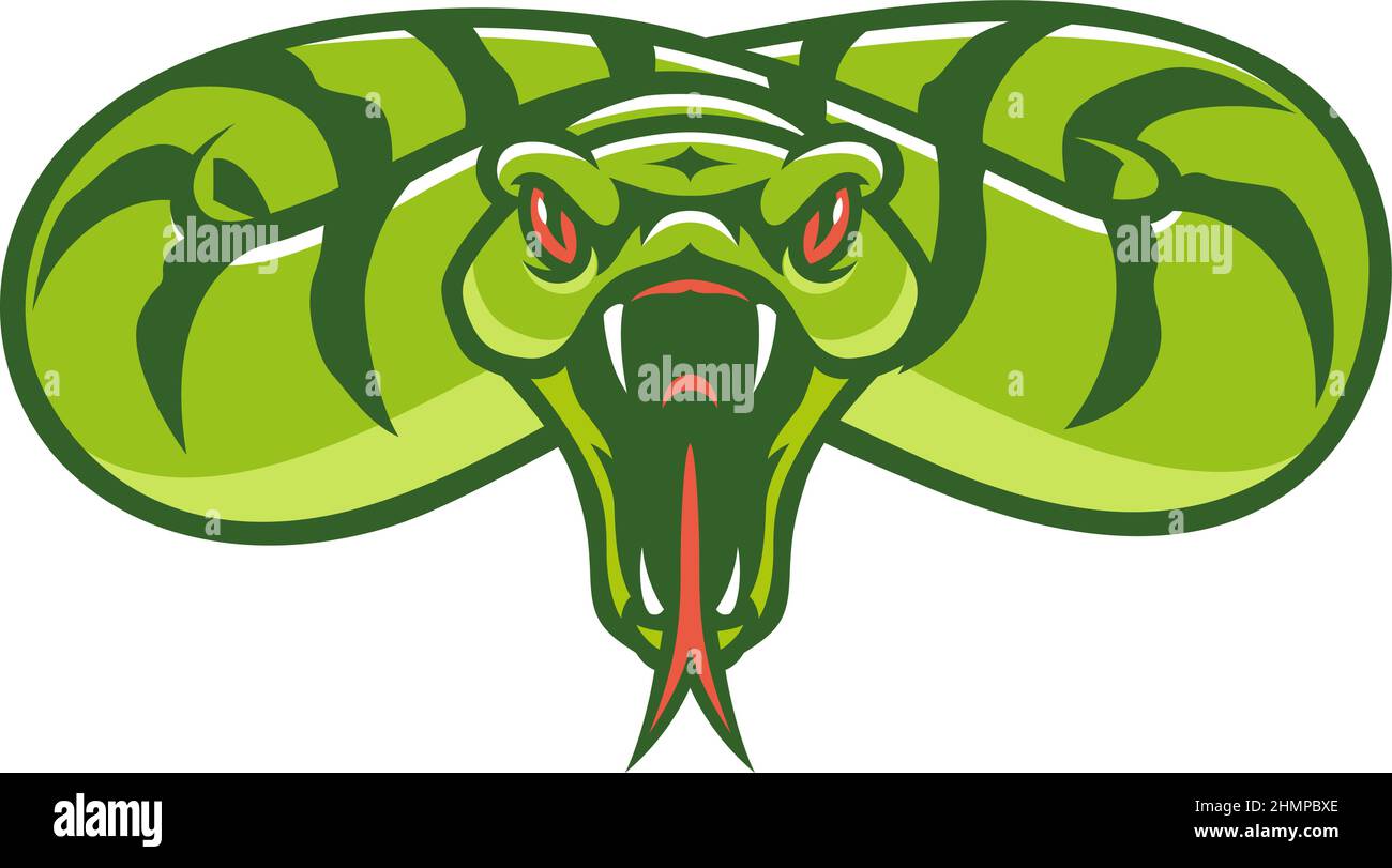 Aggressive Snake Opening Its Mouth Attacking the Prey Sport Logo Stock ...