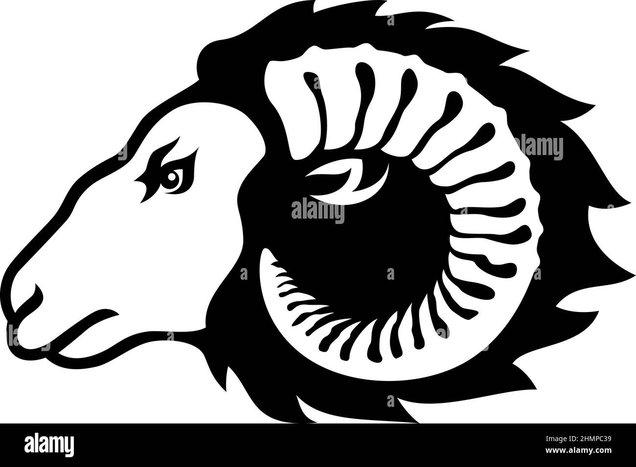 Head of Ram (Male Sheep) Side View Line Design Stock Vector Image & Art ...