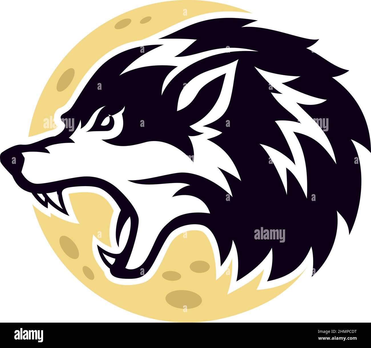 Aggressive Wolf Shows Its Fangs with Full Moon in background Stock ...