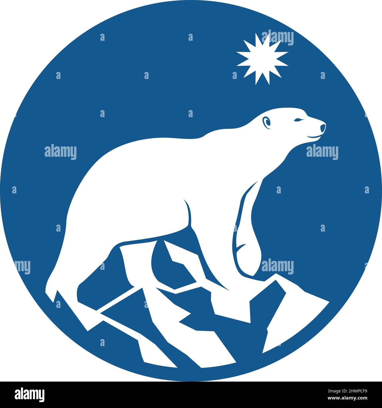 Northern star logo hi-res stock photography and images - Alamy