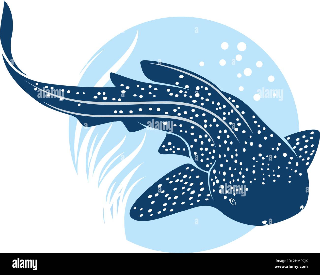 Zebra shark Stock Vector Images - Alamy
