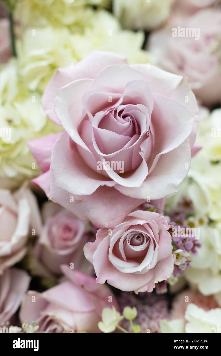 Floral arrangement featuring a tightly packed bunch of pink and cream ...