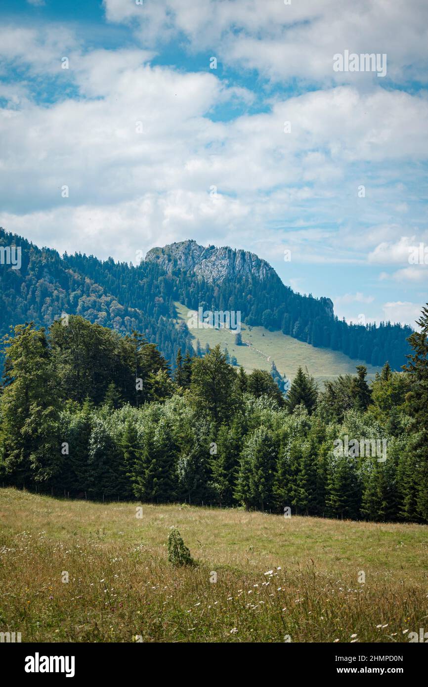 Big mountain with clouds and forests in the summer Stock Photo - Alamy