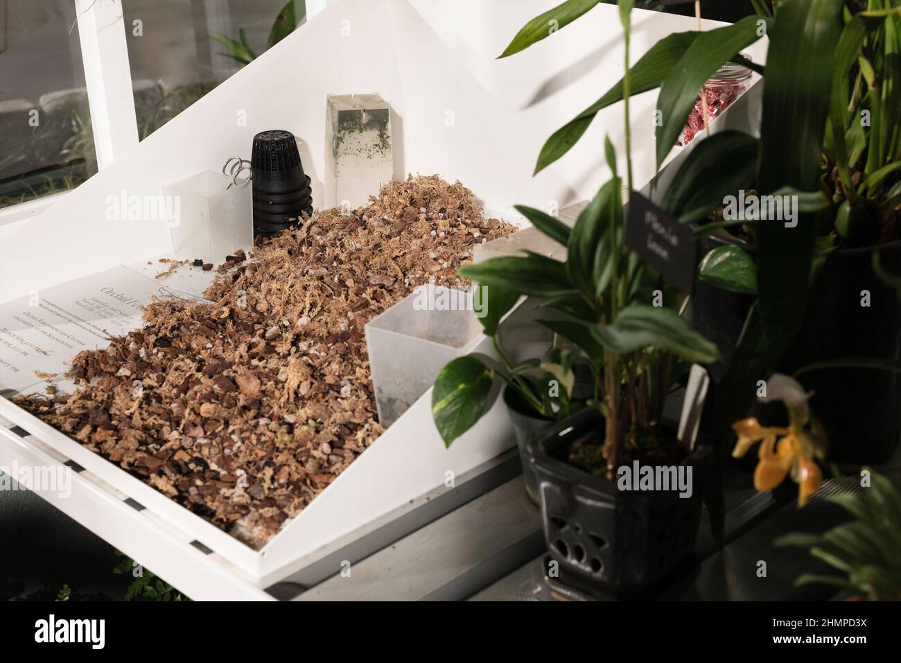 Orchid potting mix, in an orchid greenhouse Stock Photo - Alamy