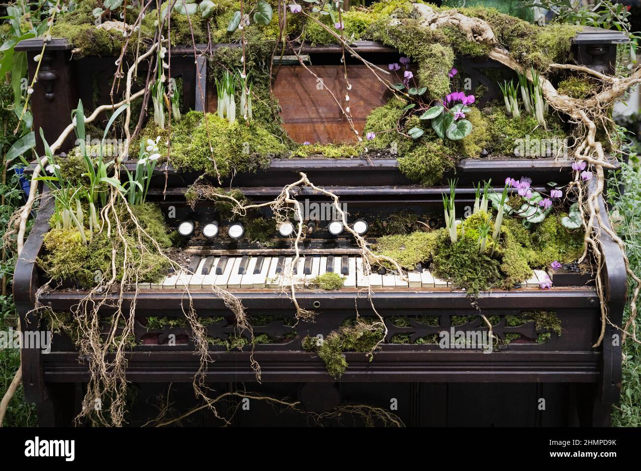 An antique piano covered in roots and moss on display at the Northwest ...