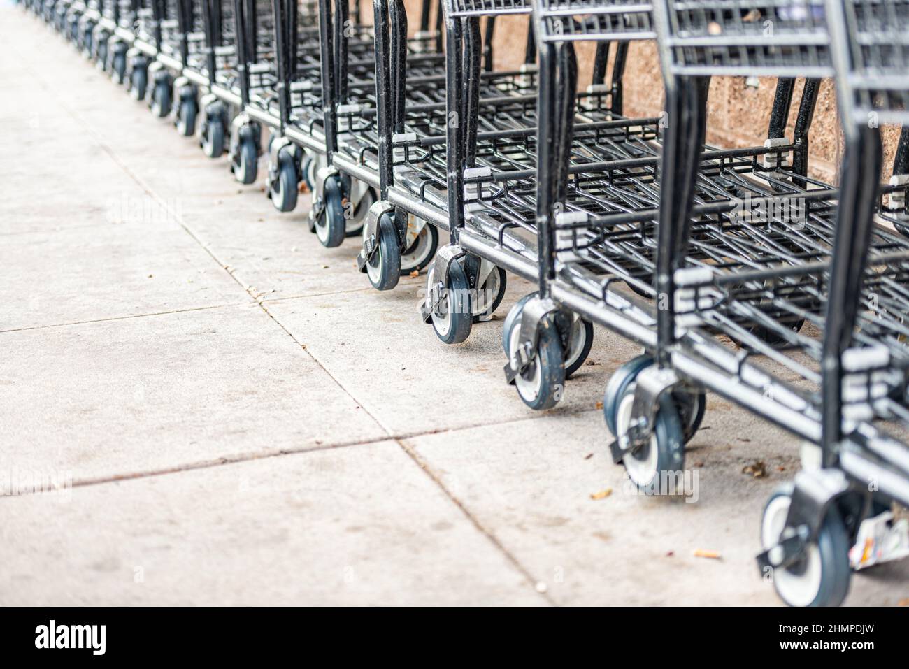 row of empty shopping carts in the big supermarket in California, USA ...