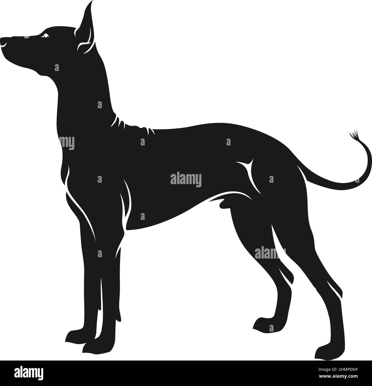 Xolo Stock Vector Images - Alamy