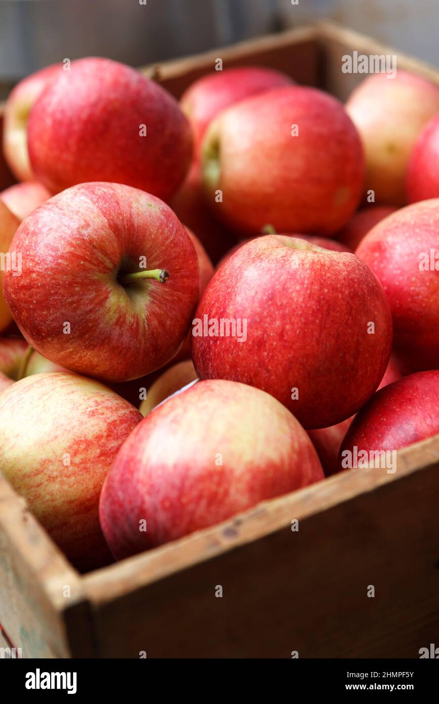 Lower grade hi-res stock photography and images - Alamy