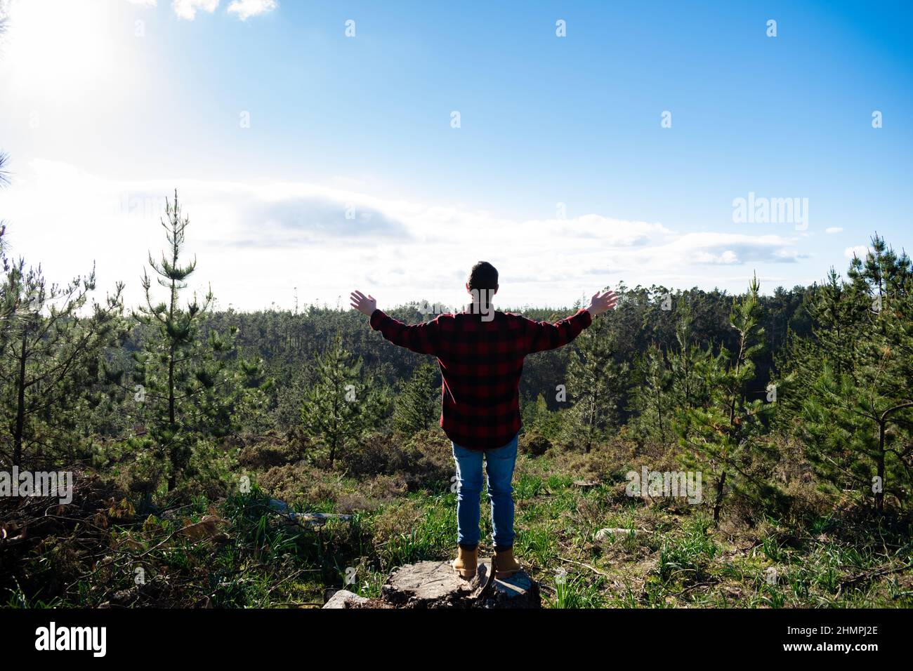 Rear view of a man standing on a tree stump in a forest with his arms ...