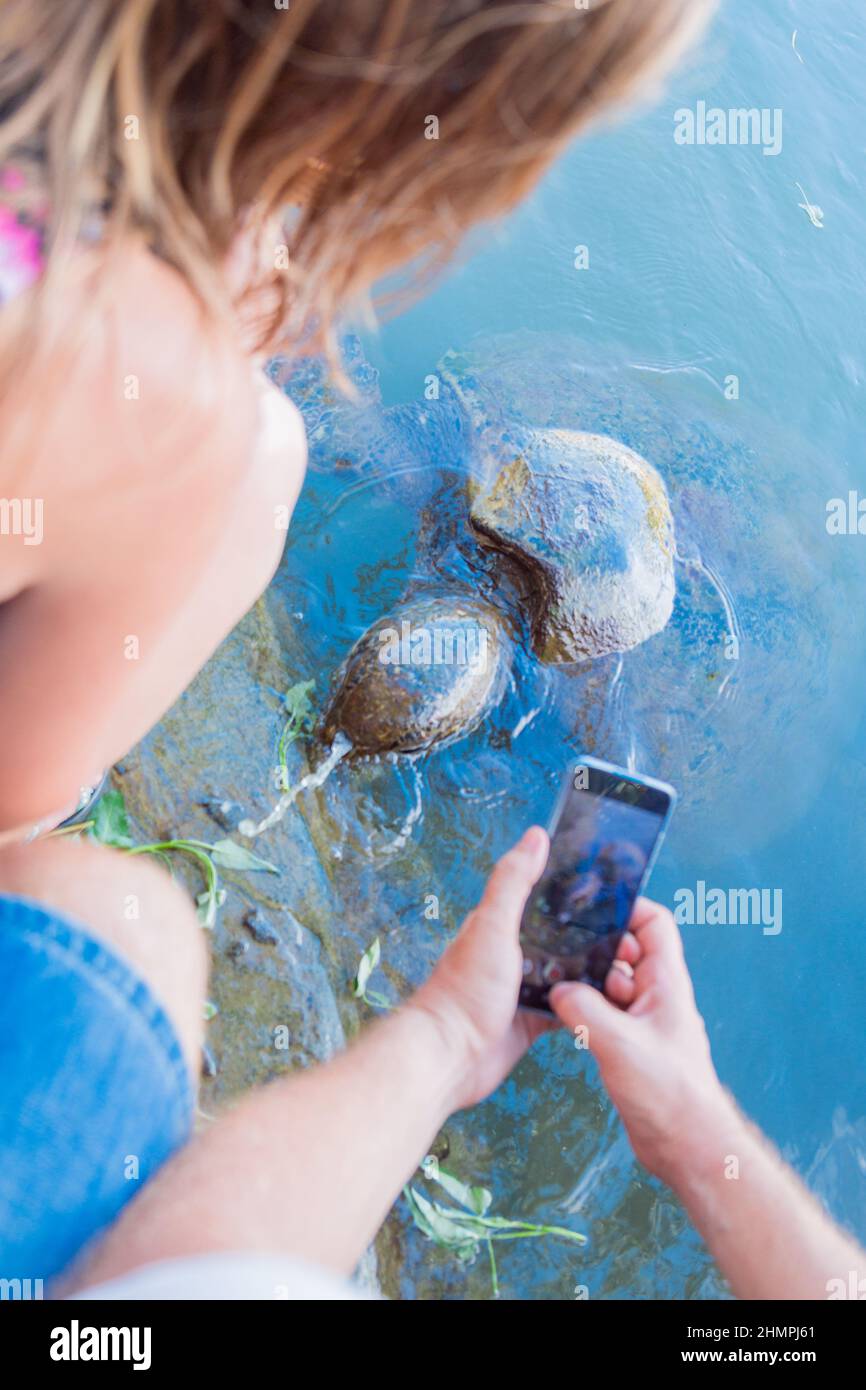 man with camera releases turtle, volunteer saves turtles, animal ...