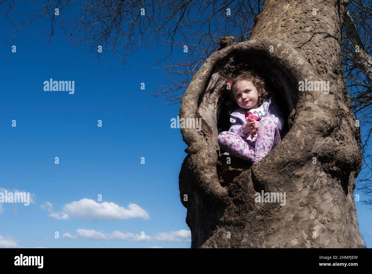 Girl hiding in a hollow tree hi-res stock photography and images - Alamy