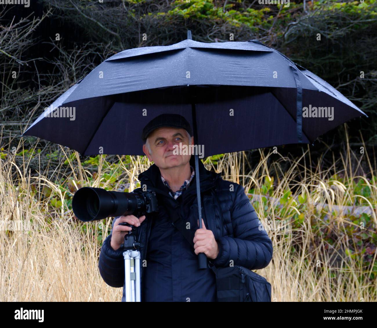 Reflex umbrella hi-res stock photography and images - Alamy