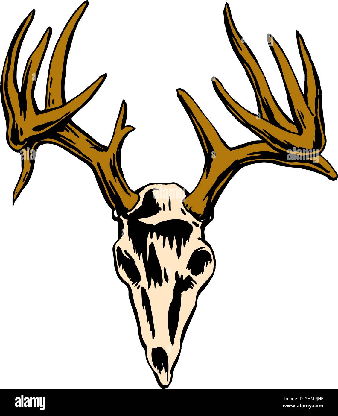Deer Buck Skull Vector Illustration Stock Vector Image & Art - Alamy