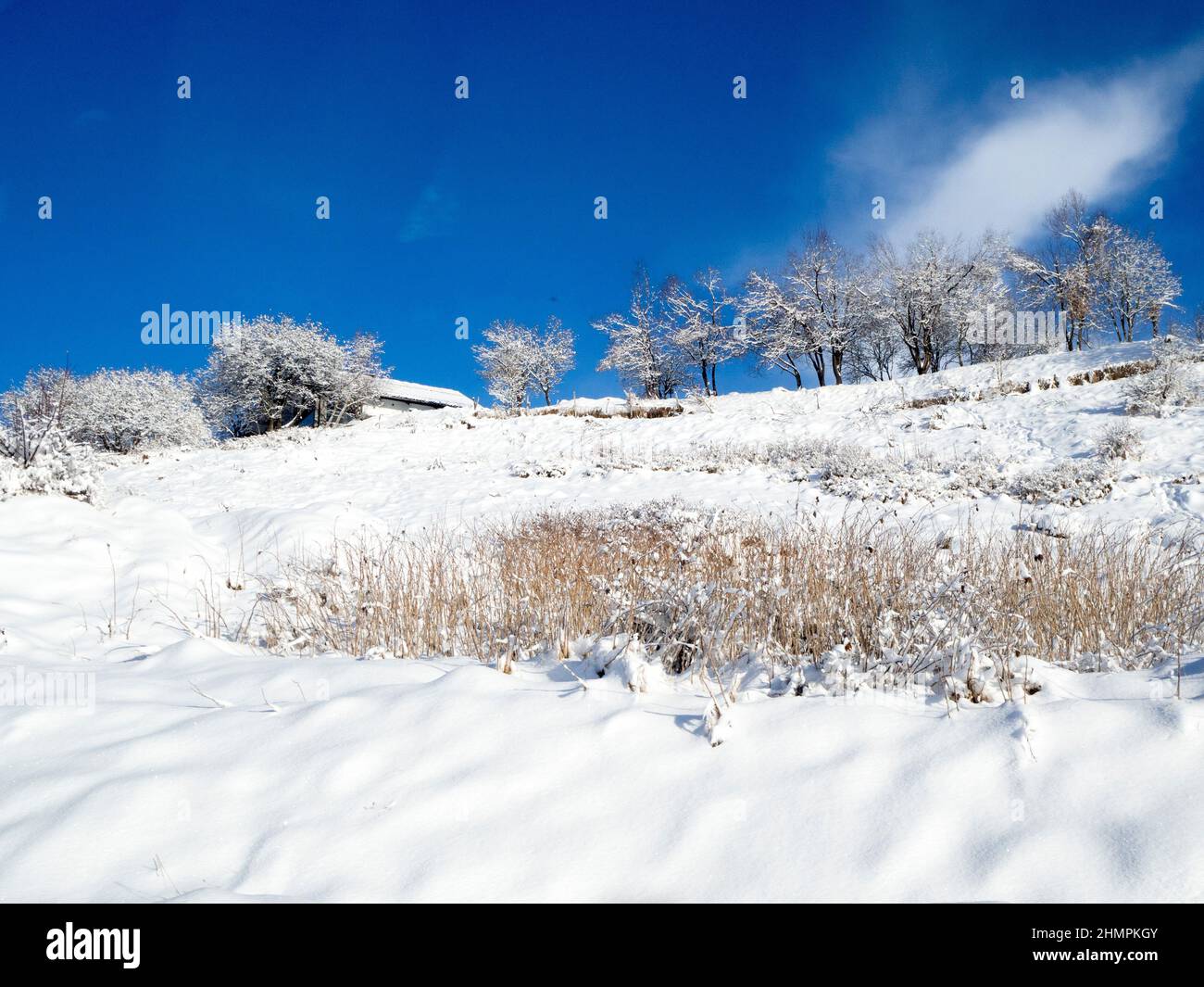 The caucasus georgia hi-res stock photography and images - Alamy