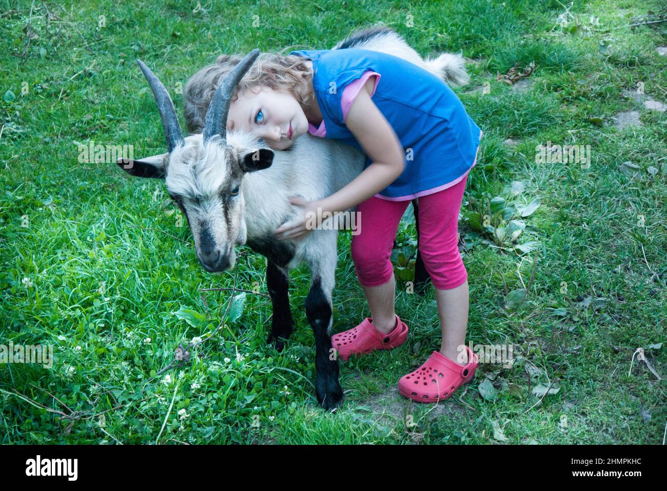 Portrait of a girl hugging a goat, Poland Stock Photo - Alamy